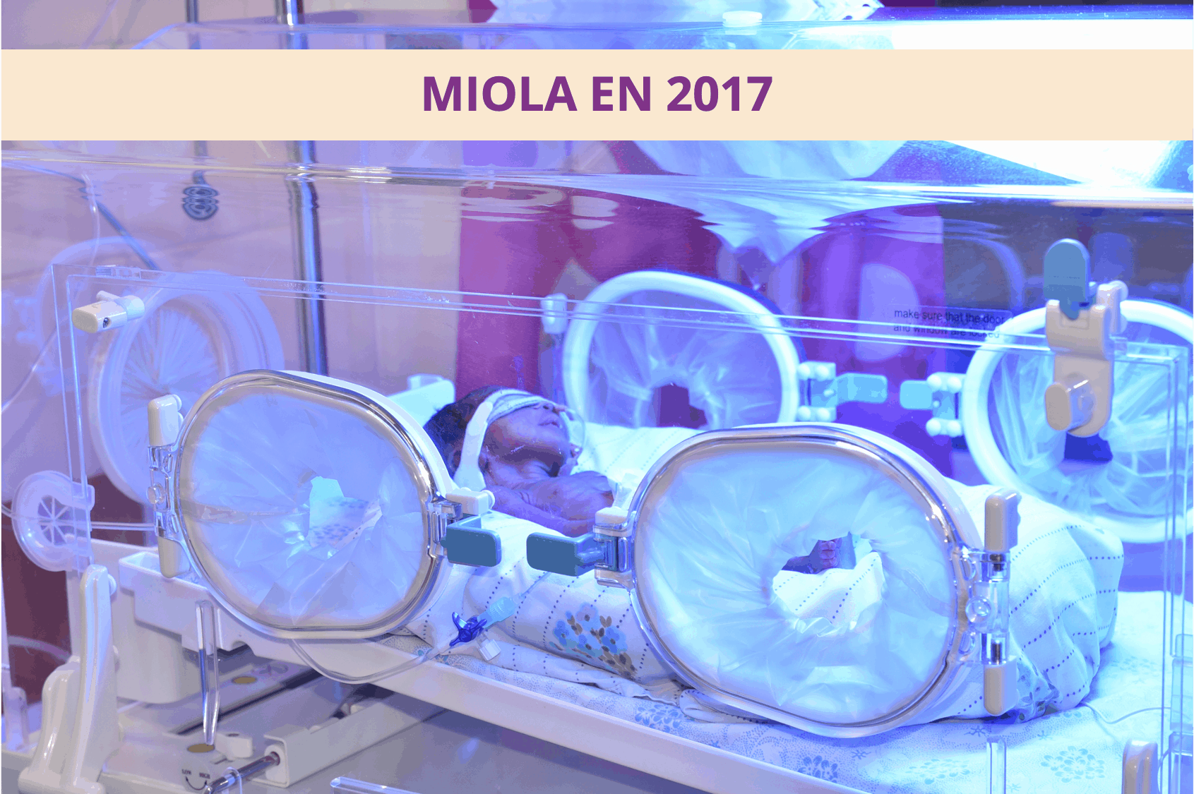 ¡Conoce la historia de Miola! - Fundación Amigos de Monkole